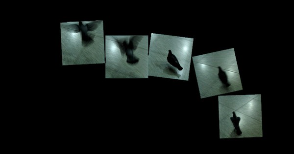 Damien Gernay — Knickety-knackety, rustical quality – Le Fresnoy ...